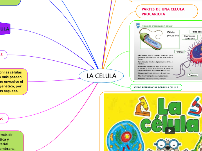 LA CELULA - Mind Map